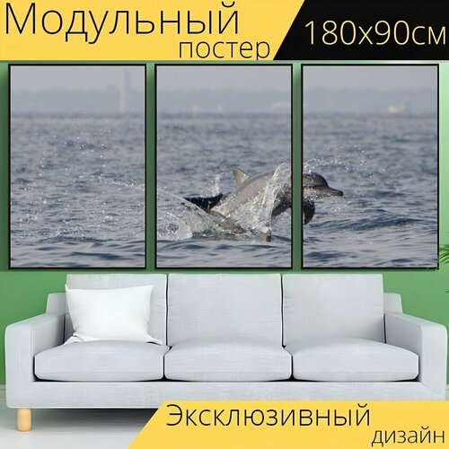 Модульный постер "Дельфины, дельфин, прыжок" 180 x 90 см. для интерьера