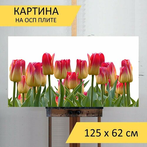 Картина на ОСП 125х62 см. "Тюльпаны, весна, пасхальный" горизонтальная, для интерьера, с креплениями