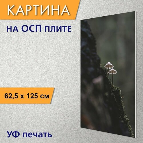 Вертикальная картина на ОСП "Грибы, лесные грибы, спора" 62x125 см. для интерьериа