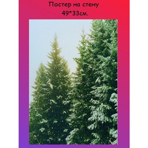 Постер, плакат на стену "Зима, Winter" 49х33 см (А3+)