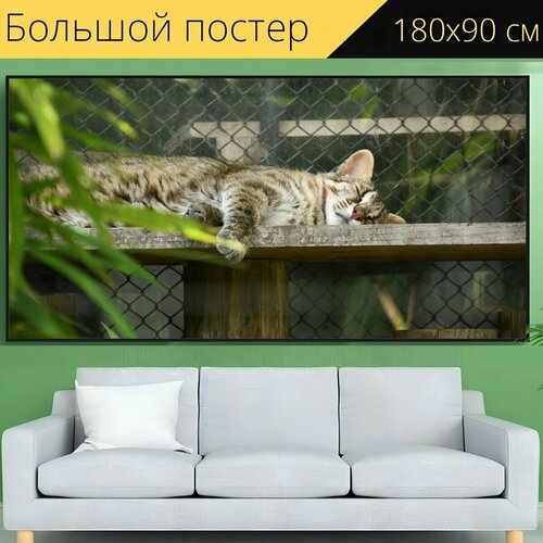 Большой постер "Кошка, животное, спать" 180 x 90 см. для интерьера