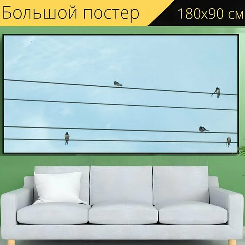 Большой постер "Птицы, коммуникация, твиттер" 180 x 90 см. для интерьера