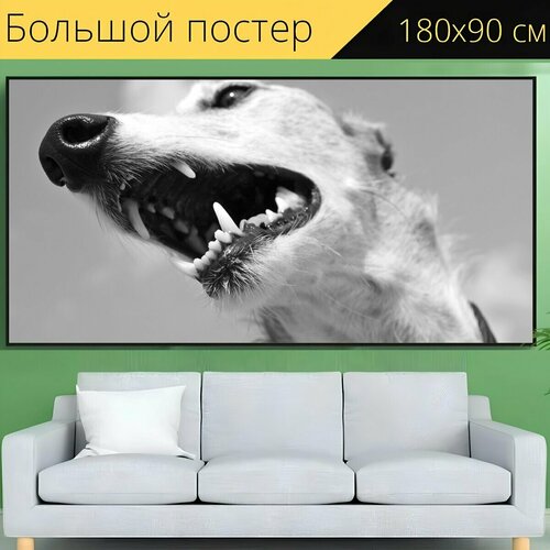Большой постер "Собака, животное, борзая" 180 x 90 см. для интерьера