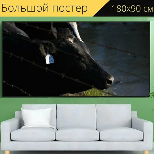 Большой постер "Корова, крупный рогатый скот, ферма" 180 x 90 см. для интерьера