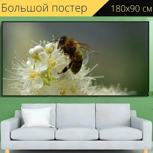 Большой постер "Пчела, цветок, цвести" 180 x 90 см. для интерьера