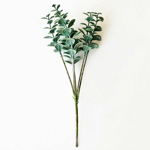 Искусственное растение Эвкалипт 34x15 см пластик цвет зеленый