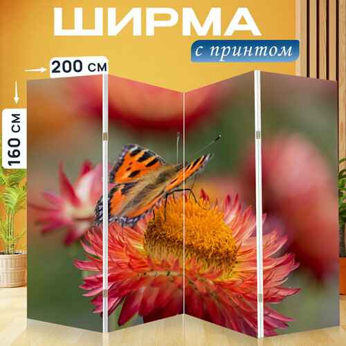 Ширма перегородка с принтом "Бабочка, цветок, опылять" на холсте - 200x160 см. для зонирования, раскладная