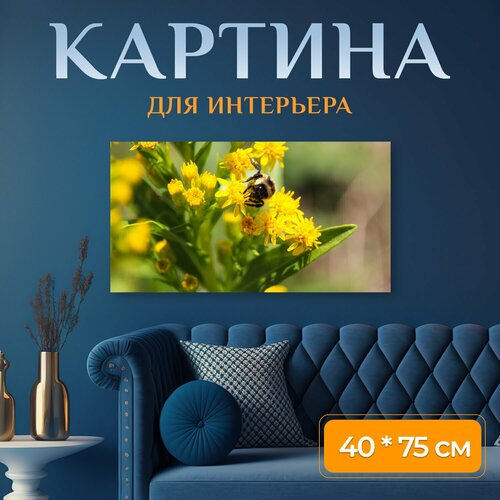 Картина на холсте "Золотарник, пчела, шмель" на подрамнике 75х40 см. для интерьера