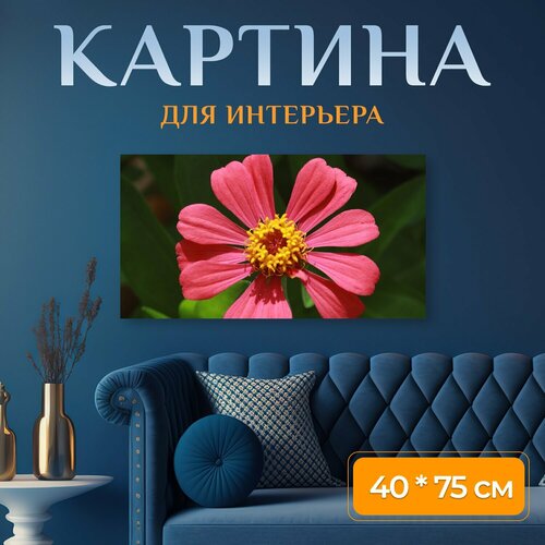 Картина на холсте "Цинния, цветок, завод" на подрамнике 75х40 см. для интерьера