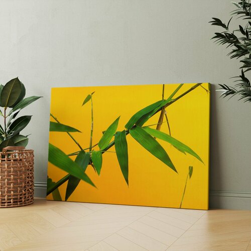 Картина на холсте (листья бамбука японский) 50x70 см/для интерьера/в комнату/на стену/в подарок