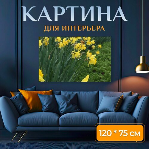 Картина на холсте "Нарциссы, желтые цветы, сад" на подрамнике 120х75 см. для интерьера