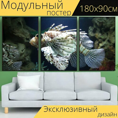 Модульный постер "Животное, рыбы, аквариум" 180 x 90 см. для интерьера