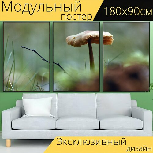 Модульный постер "Лес, грибы, природа" 180 x 90 см. для интерьера