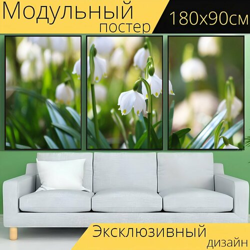 Модульный постер "Смесь, цветочные луковицы, цветы" 180 x 90 см. для интерьера