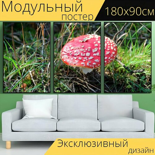 Модульный постер "Красная поганка, ядовитые грибы, осень" 180 x 90 см. для интерьера