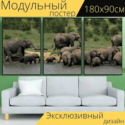 Модульный постер "Слоны, вода, природа" 180 x 90 см. для интерьера