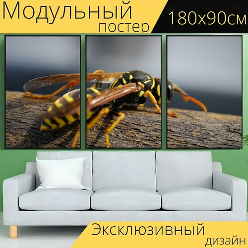 Модульный постер "Оса, насекомое, природа" 180 x 90 см. для интерьера