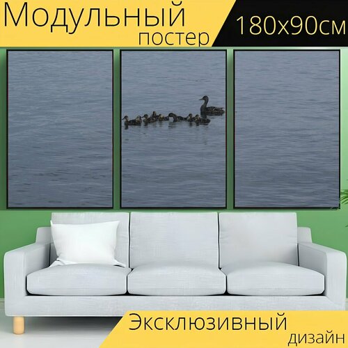 Модульный постер "Утки, утята, озеро" 180 x 90 см. для интерьера