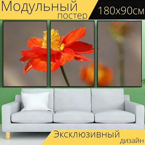 Модульный постер "Завод, цветы, цветущее растение" 180 x 90 см. для интерьера