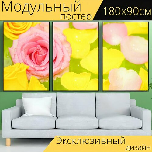 Модульный постер "Розы, цветок, любовь" 180 x 90 см. для интерьера