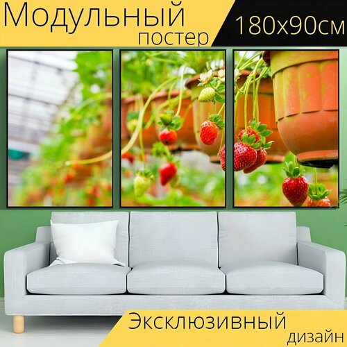 Модульный постер "Клубника, фрукты, ягода" 180 x 90 см. для интерьера