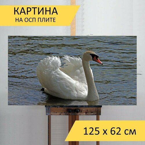 Картина на ОСП 125х62 см. "Лебедь, птица, воды" горизонтальная, для интерьера, с креплениями