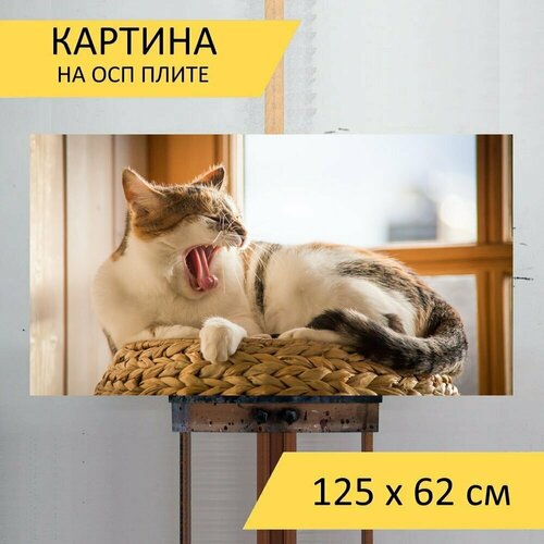 Картина на ОСП 125х62 см. "Кошка, домашний питомец, животное" горизонтальная, для интерьера, с креплениями