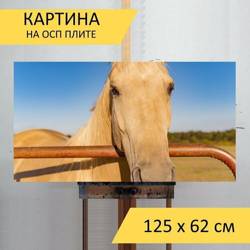 Картина на ОСП 125х62 см. "Лошадь, голова, загон" горизонтальная, для интерьера, с креплениями