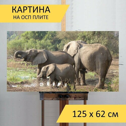 Картина на ОСП 125х62 см. "Семья слонов, слон, африке" горизонтальная, для интерьера, с креплениями