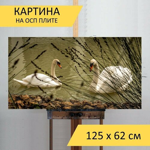 Картина на ОСП 125х62 см. "Лебеди, водоплавающая птица, озеро" горизонтальная, для интерьера, с креплениями