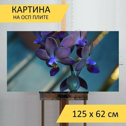 Картина на ОСП 125х62 см. "Фиолетовый, орхидея, боке" горизонтальная, для интерьера, с креплениями