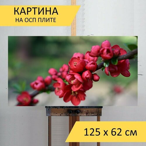 Картина на ОСП 125х62 см. "Декоративная айва, красный, кустарник" горизонтальная, для интерьера, с креплениями