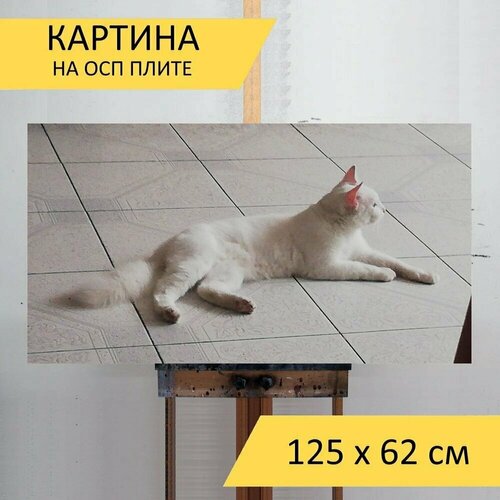 Картина на ОСП 125х62 см. "Кошка, белый, любовь" горизонтальная, для интерьера, с креплениями