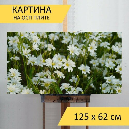 Картина на ОСП 125х62 см. "Природа, растения, белый" горизонтальная, для интерьера, с креплениями