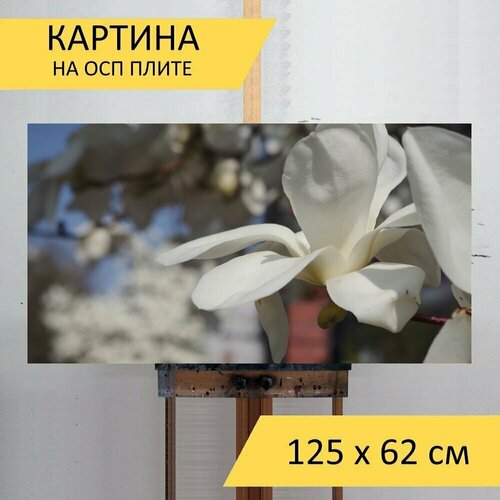 Картина на ОСП 125х62 см. "Магнолия, цветок, весна" горизонтальная, для интерьера, с креплениями