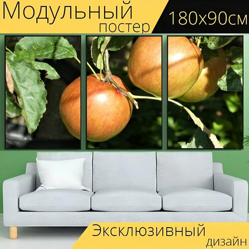 Модульный постер "Яблоки, фрукты, дерево" 180 x 90 см. для интерьера