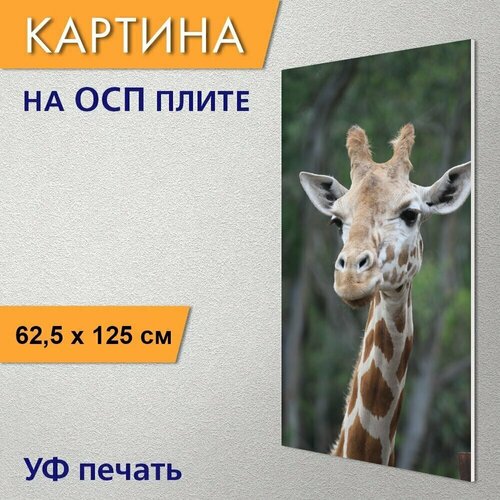 Вертикальная картина на ОСП "Жирафа, животное, дикий" 62x125 см. для интерьериа