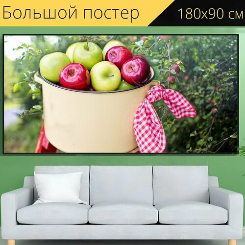 Большой постер "Яблоки, яблоневый сад, собирание яблок" 180 x 90 см. для интерьера