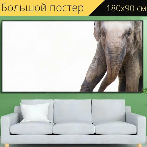 Большой постер "Слон, африке, животное" 180 x 90 см. для интерьера