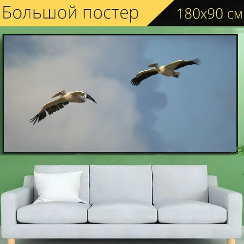 Большой постер "Птицы, пеликаны, летать" 180 x 90 см. для интерьера