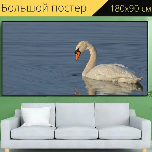 Большой постер "Озеро, лебедь, птица" 180 x 90 см. для интерьера