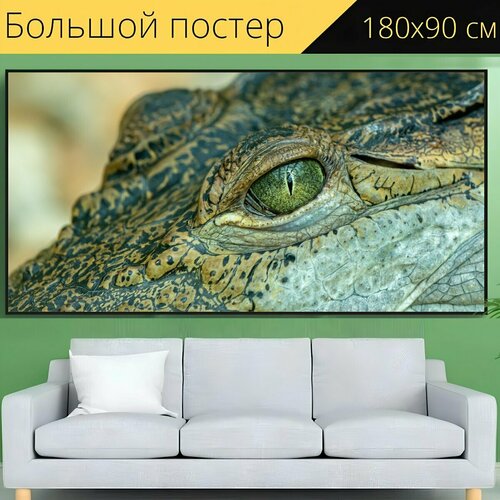 Большой постер "Крокодил, глаз, портрет" 180 x 90 см. для интерьера