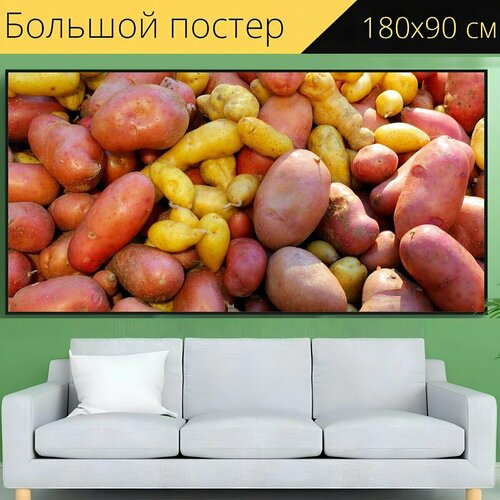 Большой постер "Колхозный рынок картофеля, фермеры, картошка" 180 x 90 см. для интерьера