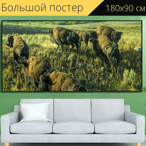 Большой постер "Зубр, буйвол, йеллоустон" 180 x 90 см. для интерьера