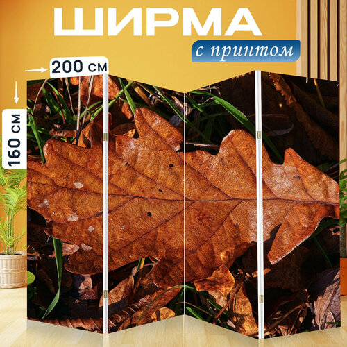 Ширма перегородка с принтом "Дубовый лист, вены, жилки листьев" на холсте - 200x160 см. для зонирования, раскладная