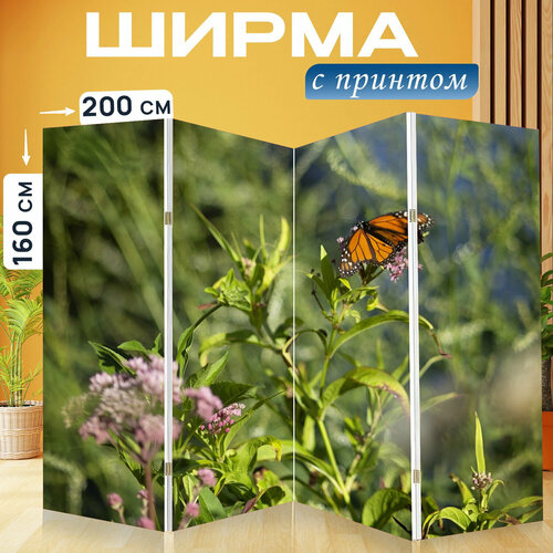 Ширма перегородка с принтом "Природа, бабочка, цветы" на холсте - 200x160 см. для зонирования, раскладная