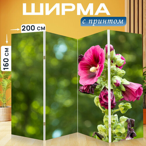 Ширма перегородка с принтом "Цветок, природа, сад" на холсте - 200x160 см. для зонирования, раскладная