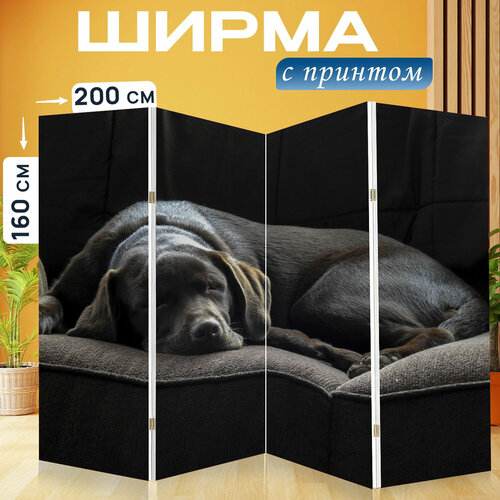 Ширма перегородка с принтом "Собака, лабрадор, спать" на холсте - 200x160 см. для зонирования, раскладная