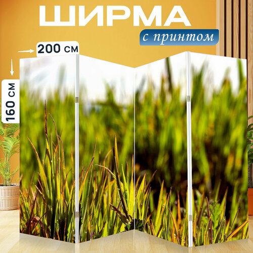 Ширма перегородка с принтом "Трава, грин, природа" на холсте - 200x160 см. для зонирования, раскладная