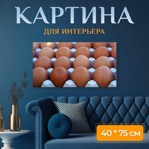 Картина на холсте "Яйца, свежий, еда" на подрамнике 75х40 см. для интерьера